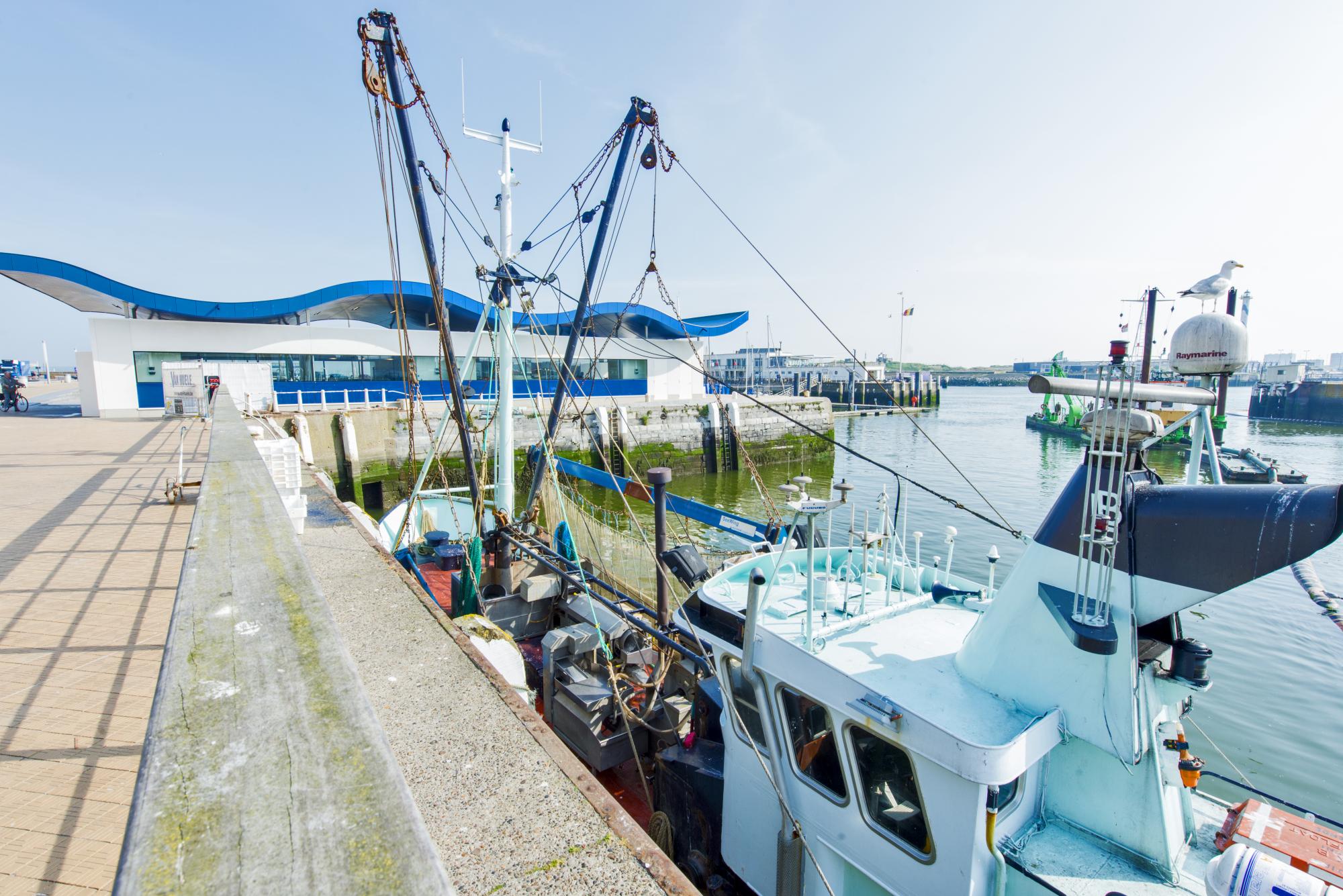 Vis lossen aan de Vistrap | Oostende voor anker